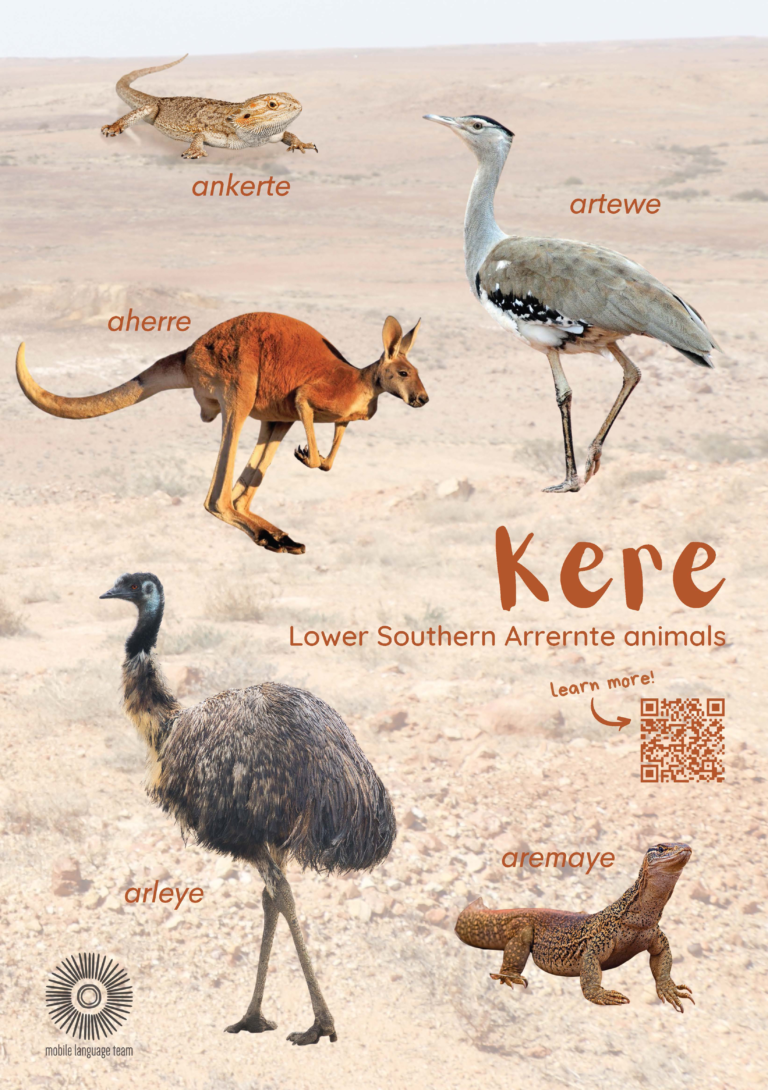 Mobile Language Team | Lower Arrernte Poster